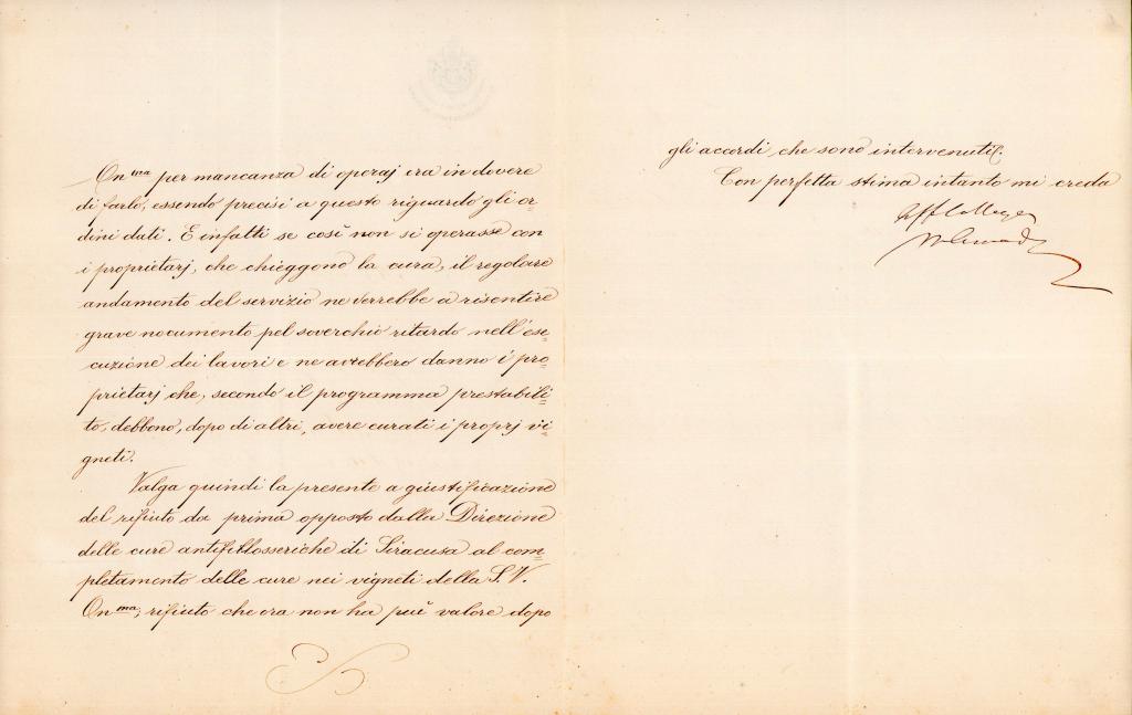 Autografo di Michele Amadei Politico Lettera da Roma Cura dei Vigneti ...